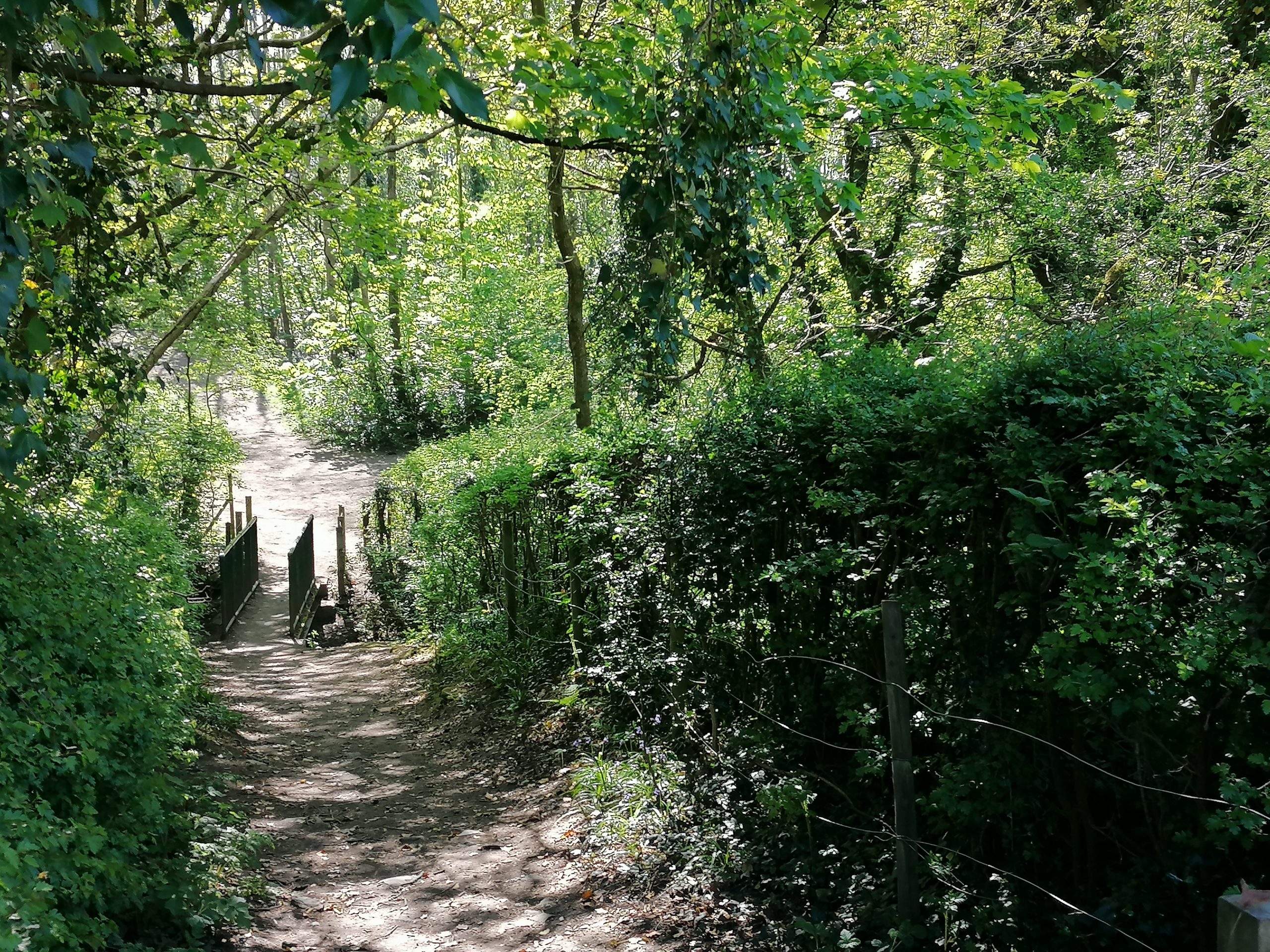 Picturesque Winstanley Walks - Winstanley Whats On