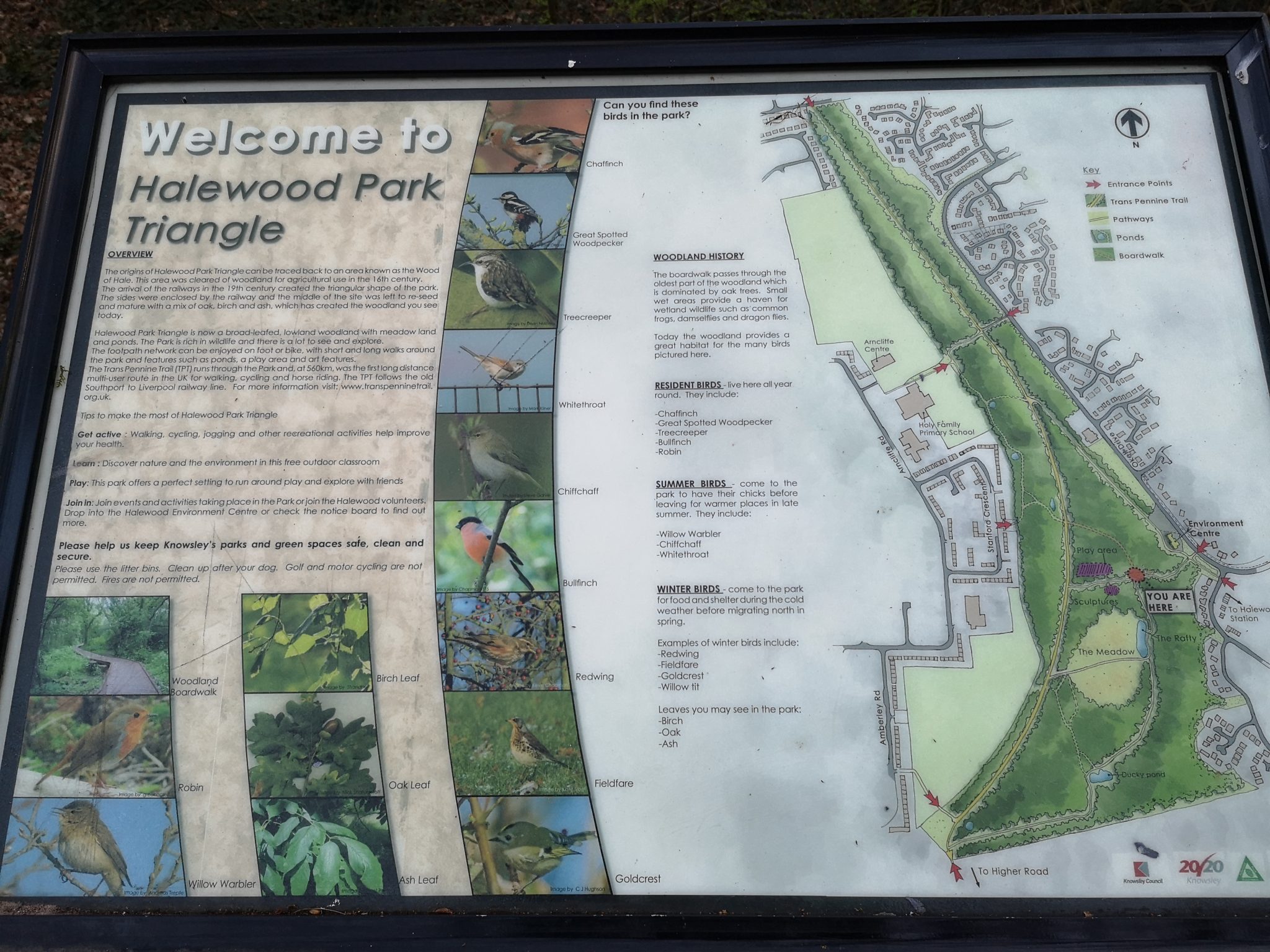 Halewood Triangle Park - Trans Pennine Trail - Winstanley Whats On