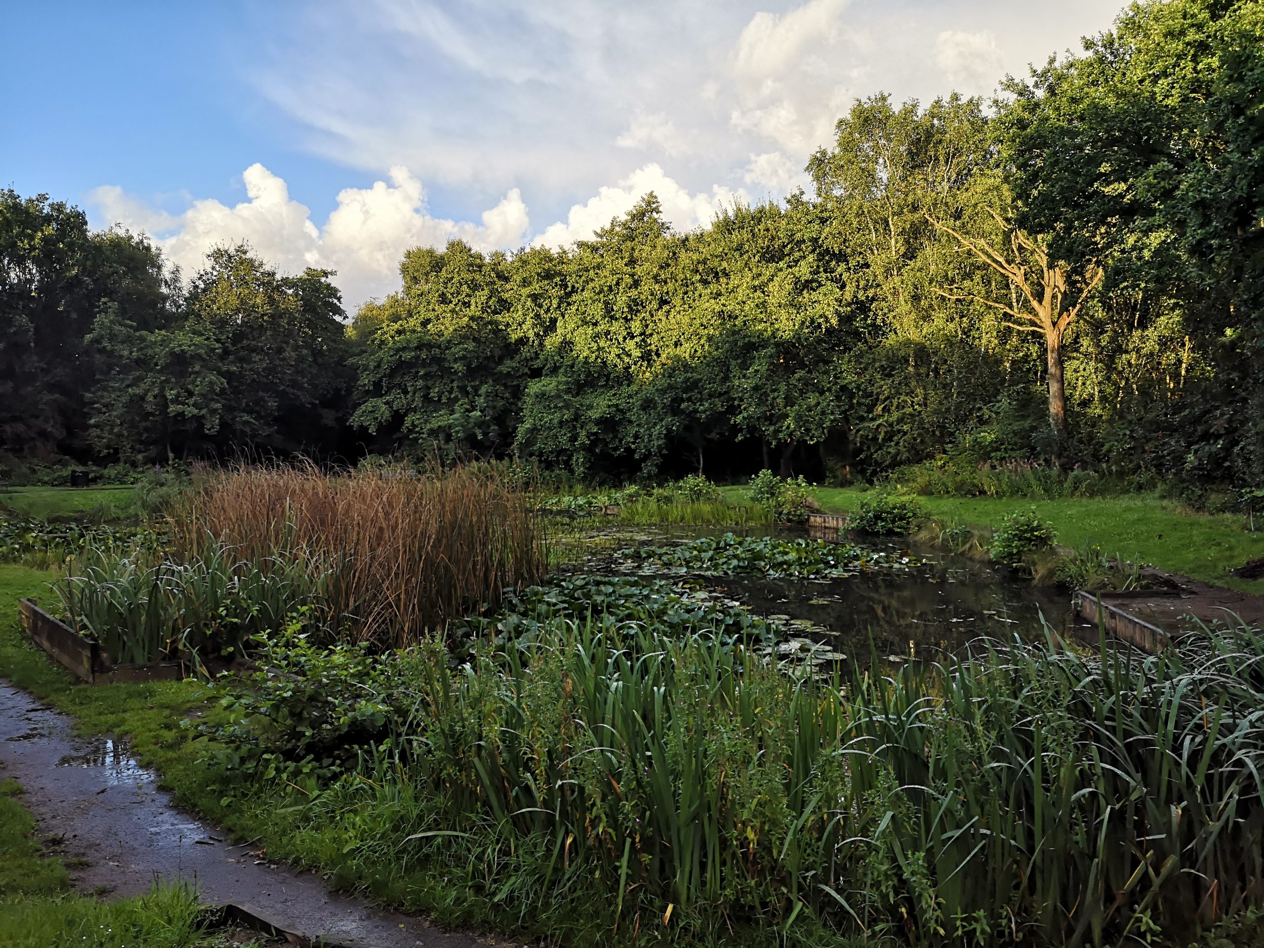 Halewood Triangle Park - Trans Pennine Trail - Winstanley Whats On